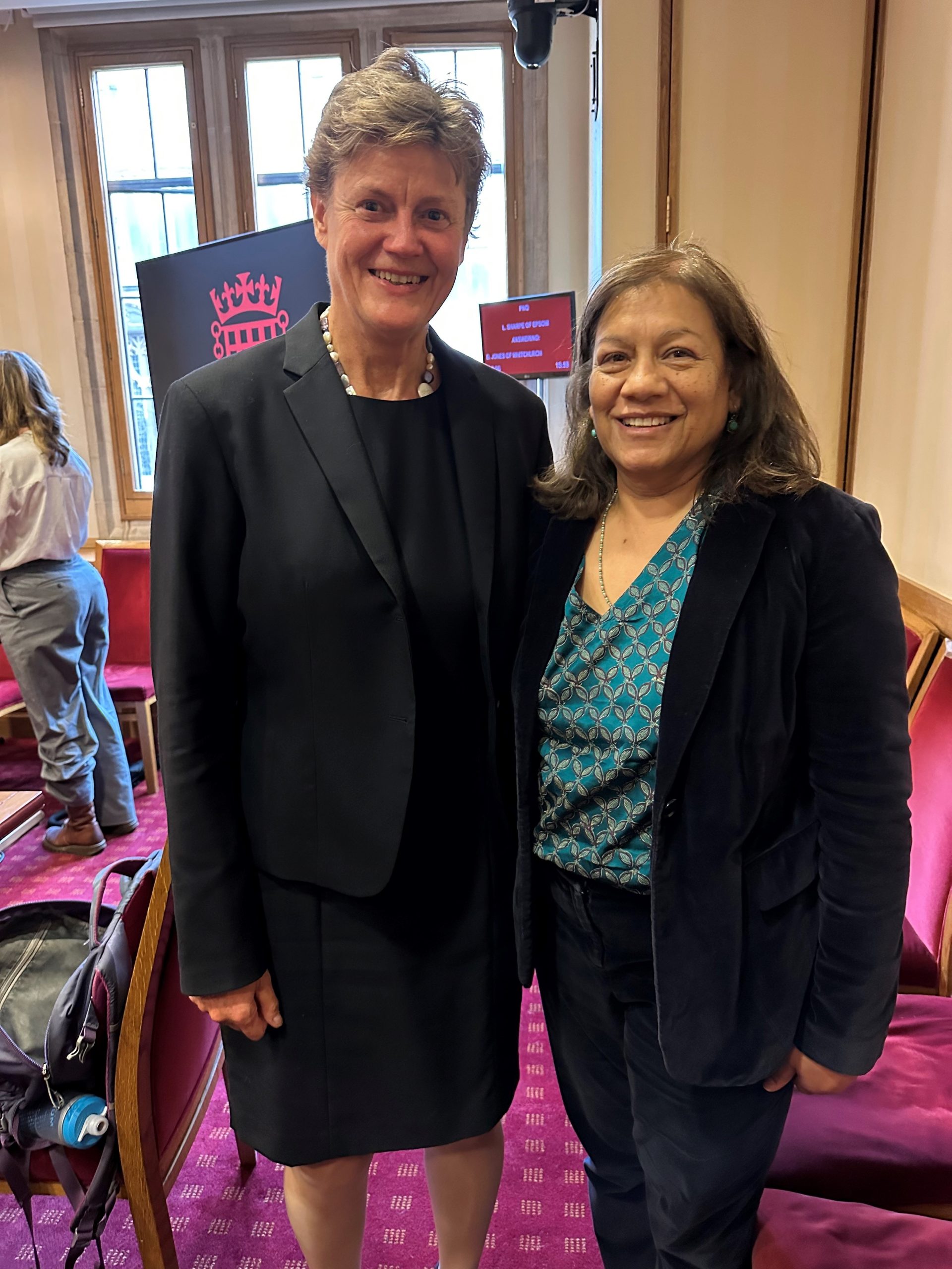 Dame Barbara Woodward DCMG OBE speaks to APPG on UN - Valerie Vaz MP